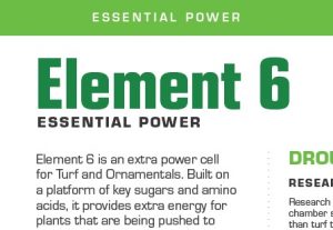 Whitepapers - Turf Fuel